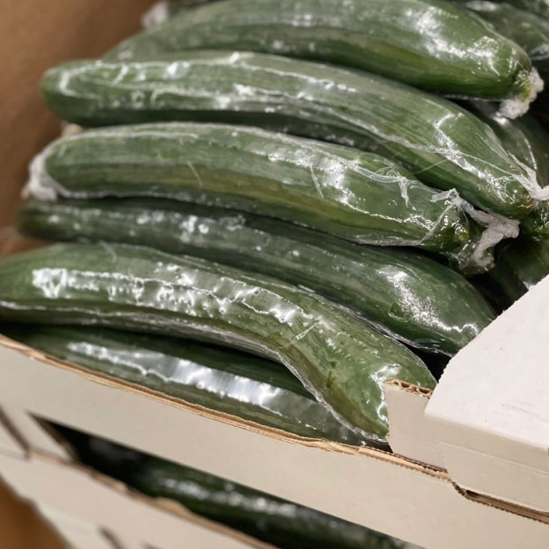 Cucumber (long) – Fruit and Vegetables Albania Export Export