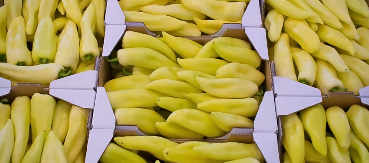 Fruit and Vegetables Albania Export Export – Fruit and Vegetables ...